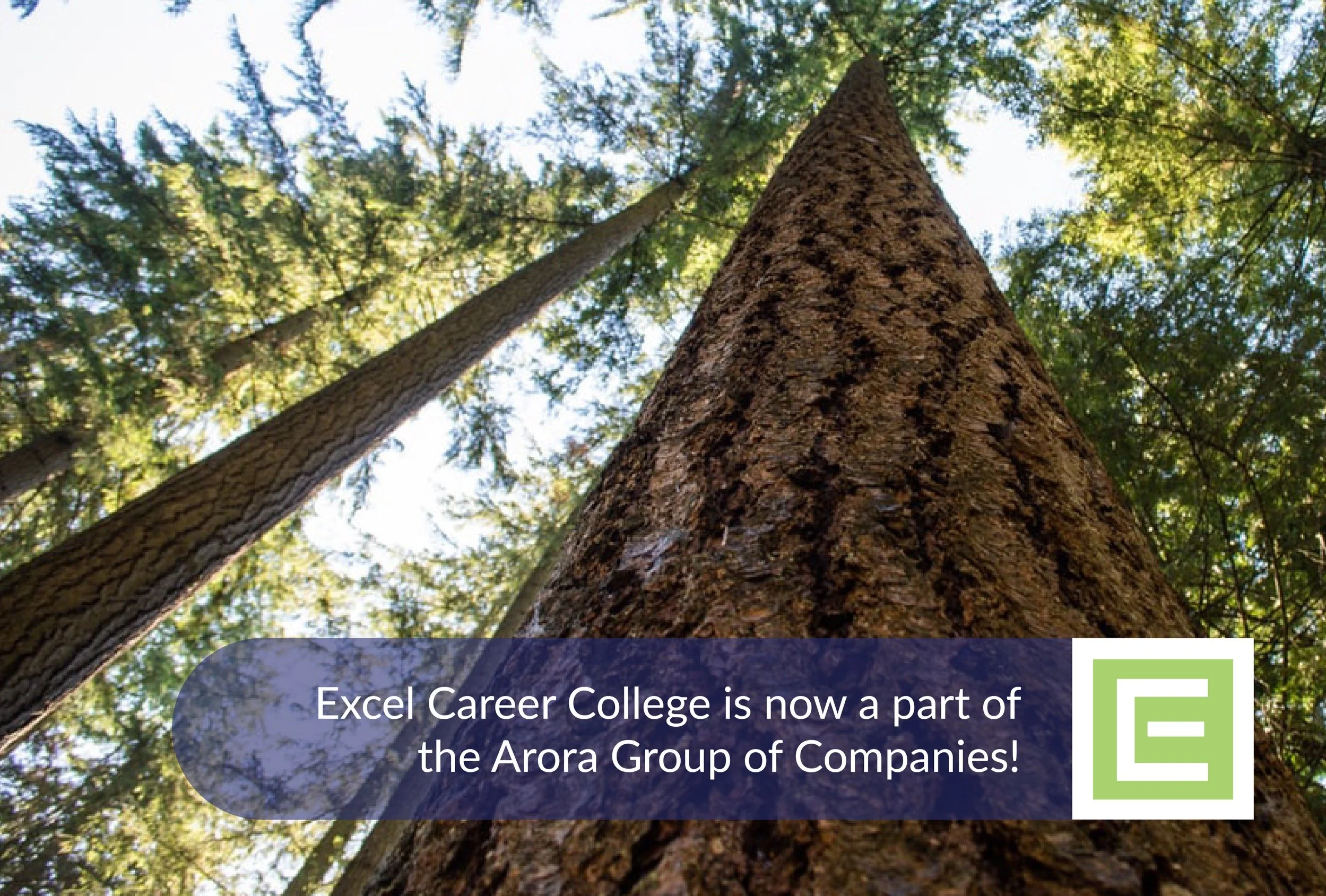 Excel Career College
