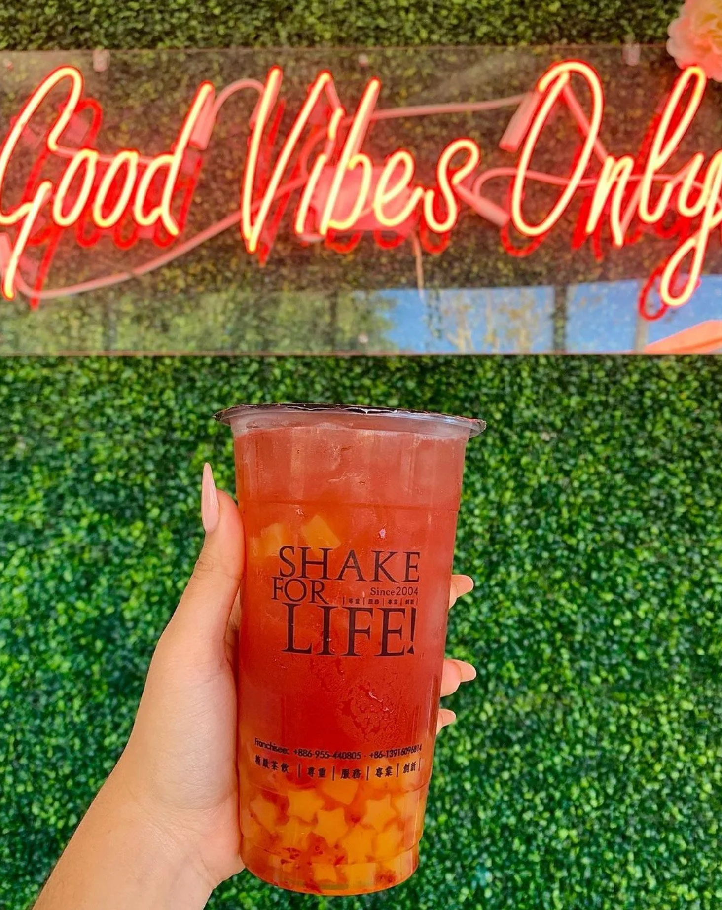 Realicore’s 2024 Inland Empire Tea Guide — Realicore Real Estate Group