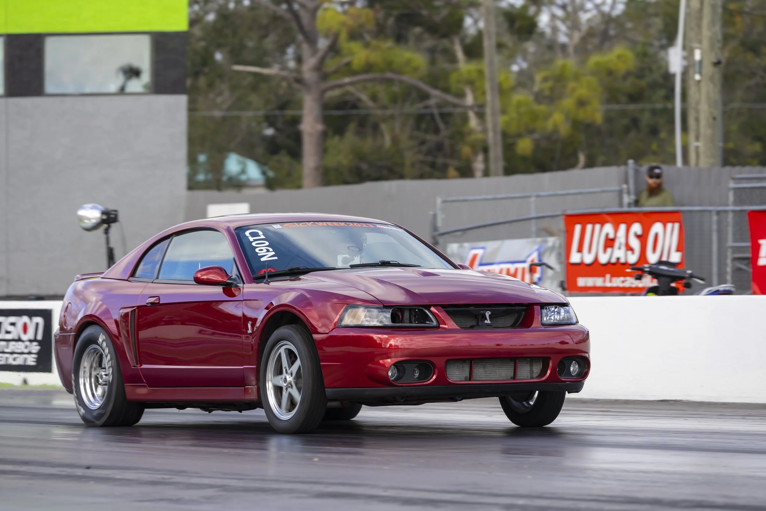 From Canada to Florida, This Mustang Cobra Tackled Its First Drag-and ...
