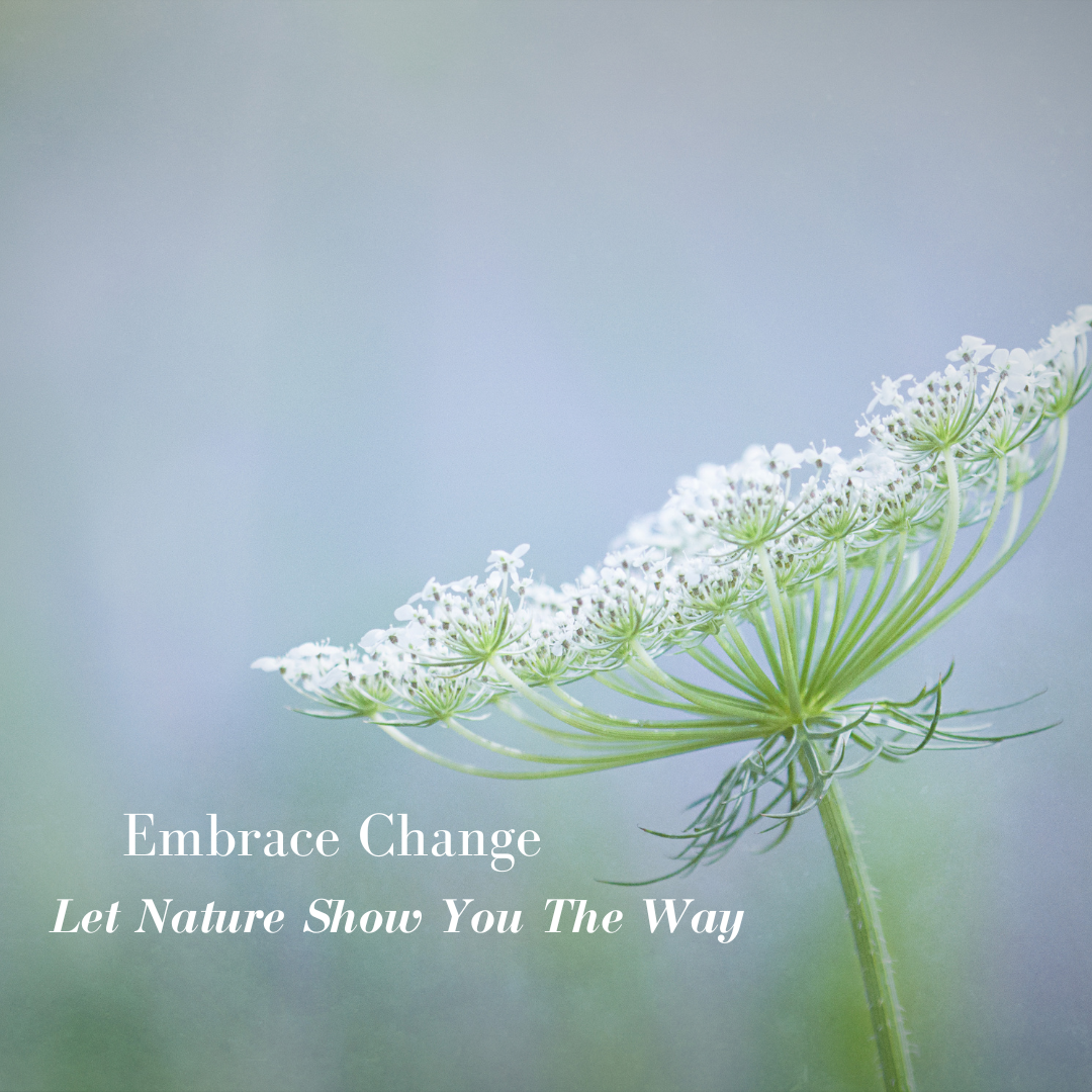 Embrace Change — Living Inspiration