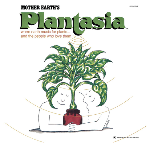 The bizarre story behind Stevie Wonder’s plant album. — Firebird.