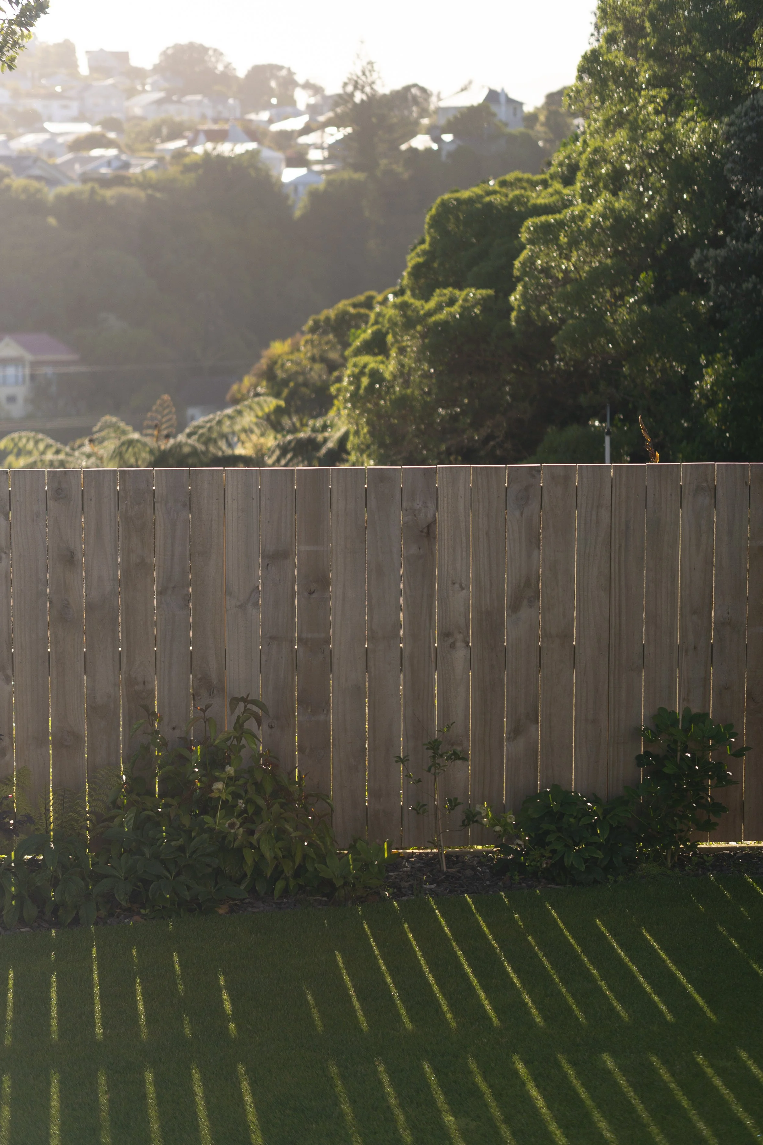 Fences Wellington — Scapegoats Fences Wellington — Scapegoats