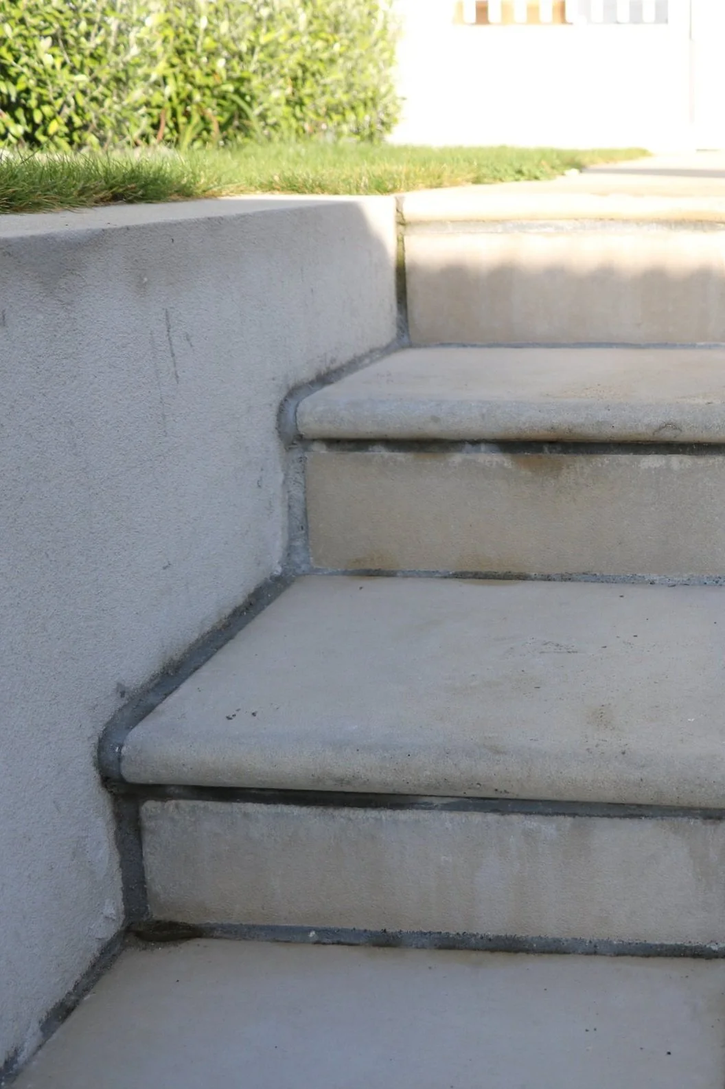 Seatoun landscaping — Scapegoats