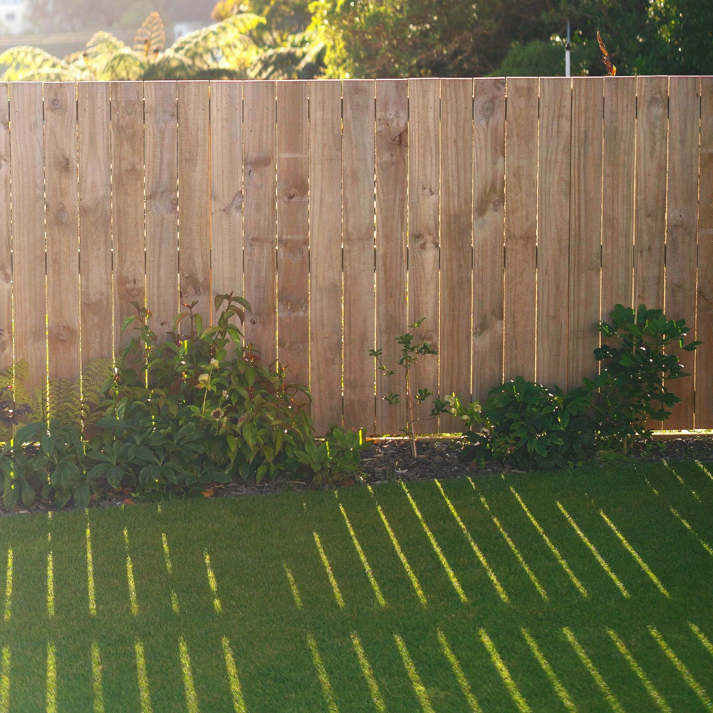 Piling Fence Paling Fence | Gippsland Treated Pine