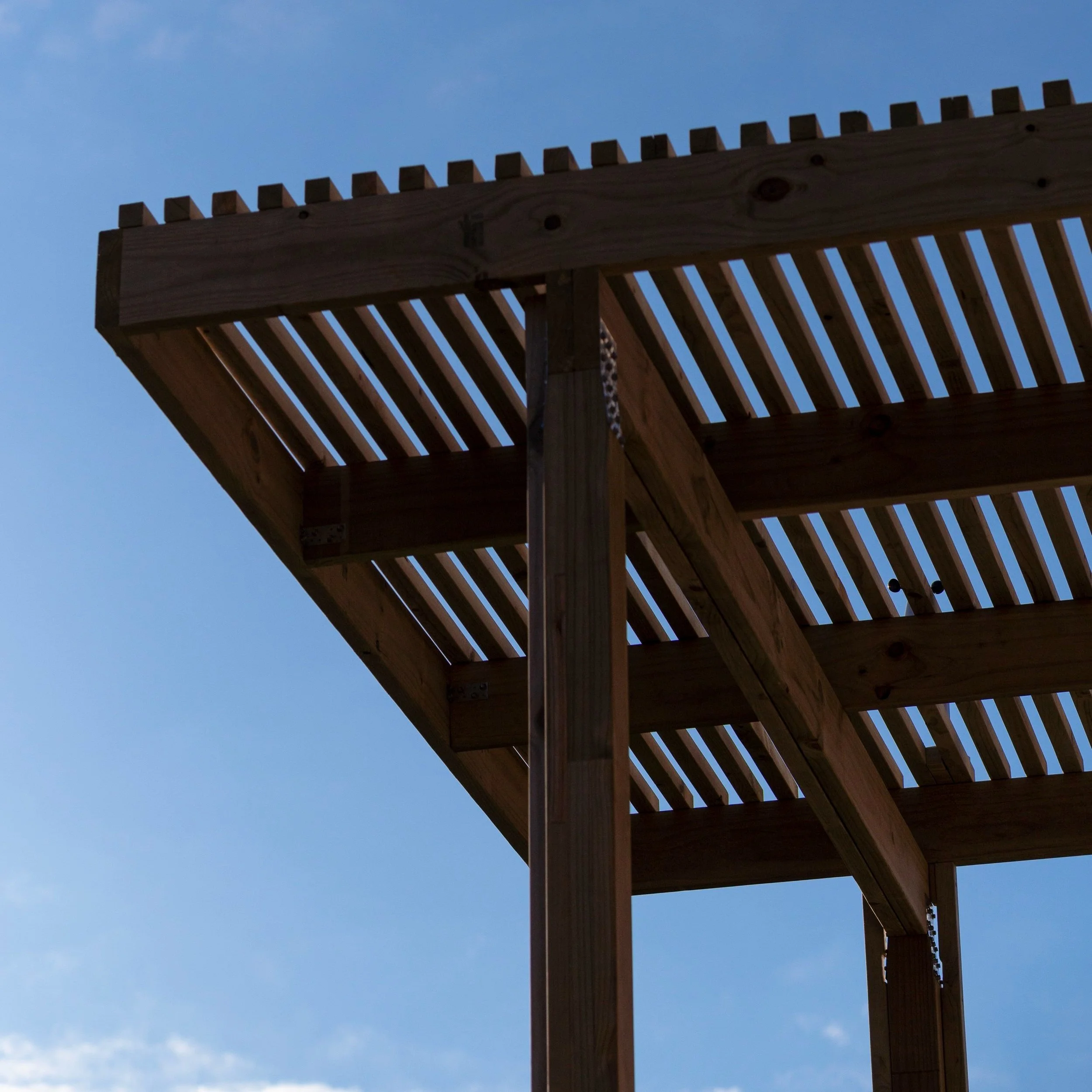 Pergolas Wellington — Scapegoats