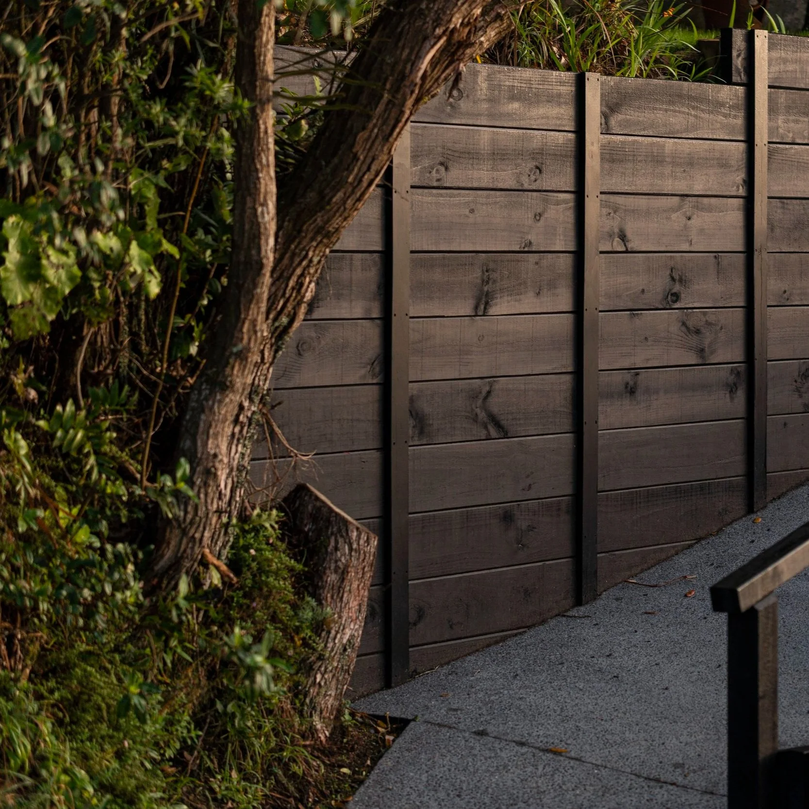 Paving Wellington — Scapegoats