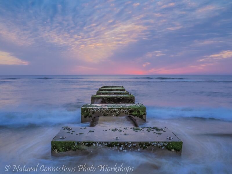Nature and Landscape Photography — Atlanta School of Photography