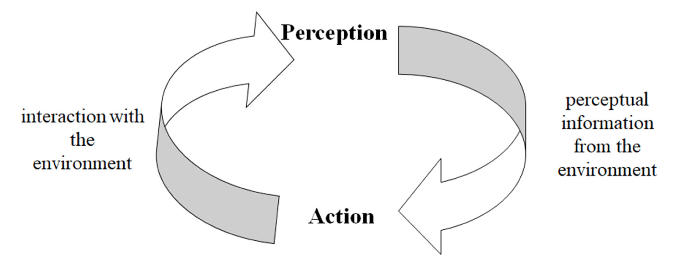 Everything You Need to Know About Skill Acquisition — Hooper University ...