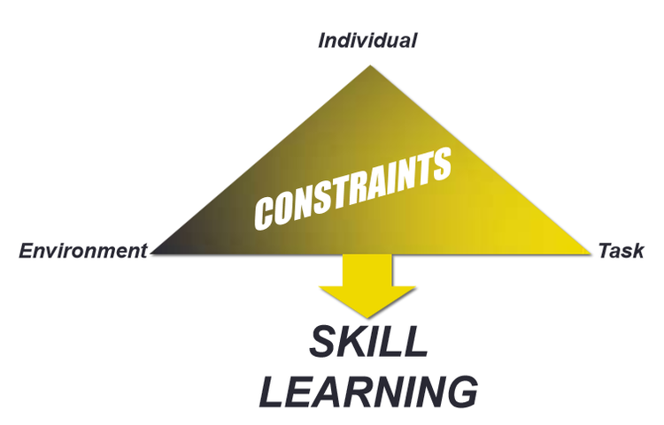 Everything You Need to Know About Skill Acquisition — Hooper University ...