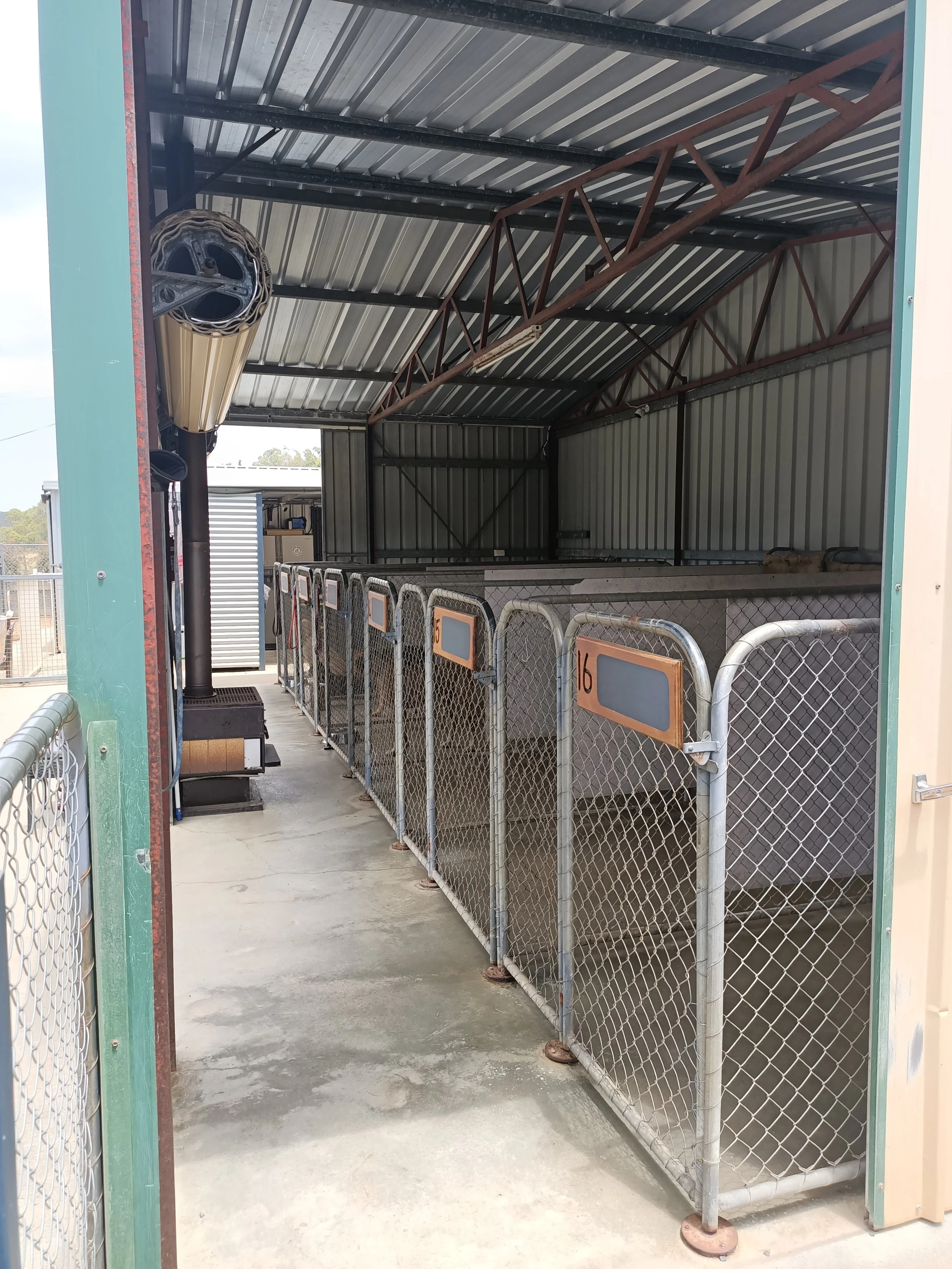 Boarding Kennels | Down South Boarding Kennels