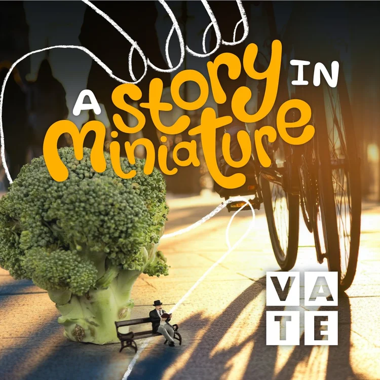 VATE Story in Miniature Competition. — The Mac.Robertson Girls' High School