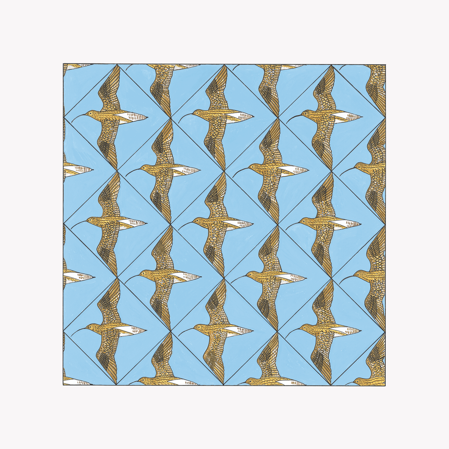 The Curlew Sounds Project