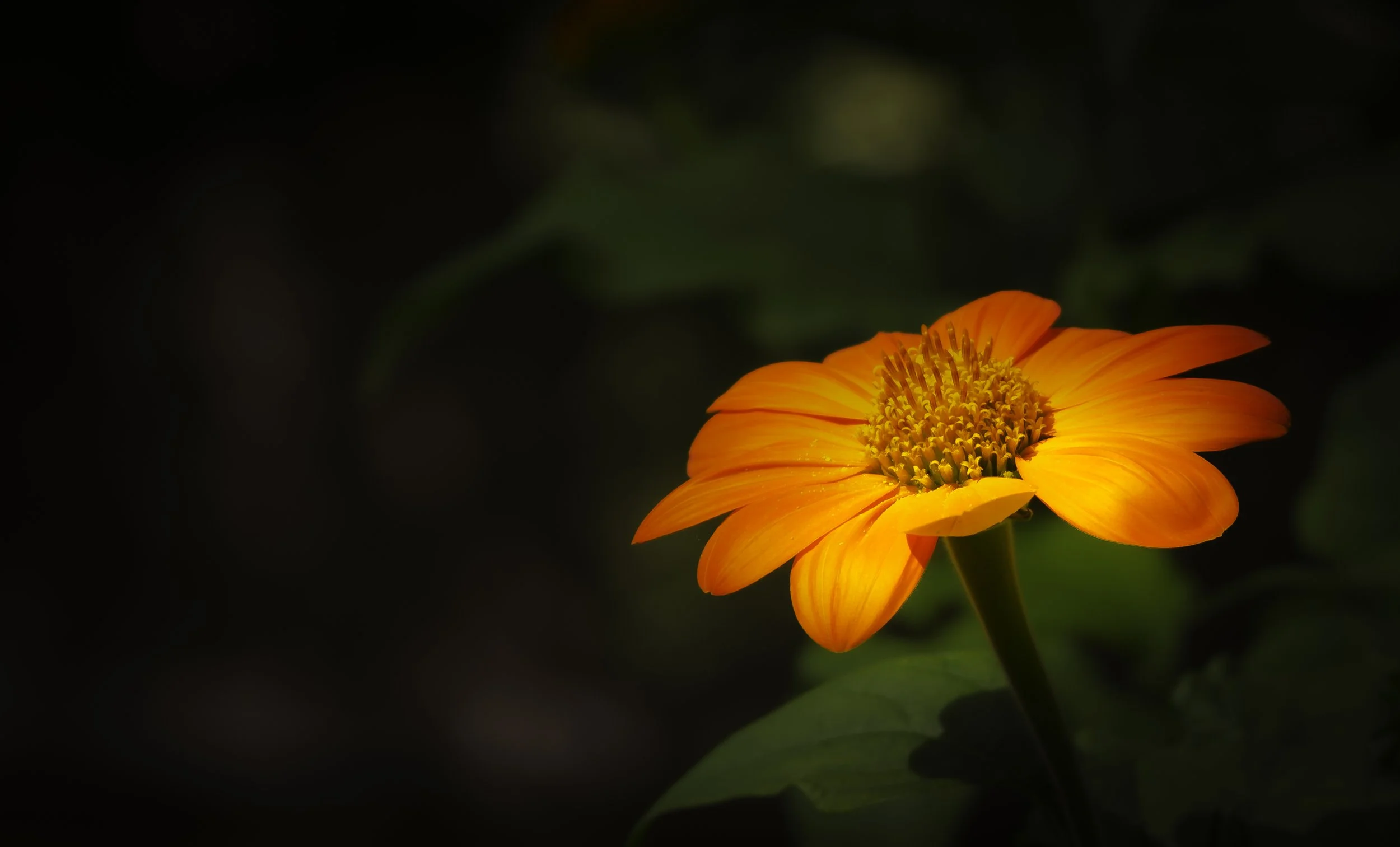 9 Steps To Emotionally Detach From Someone, From Therapists ...