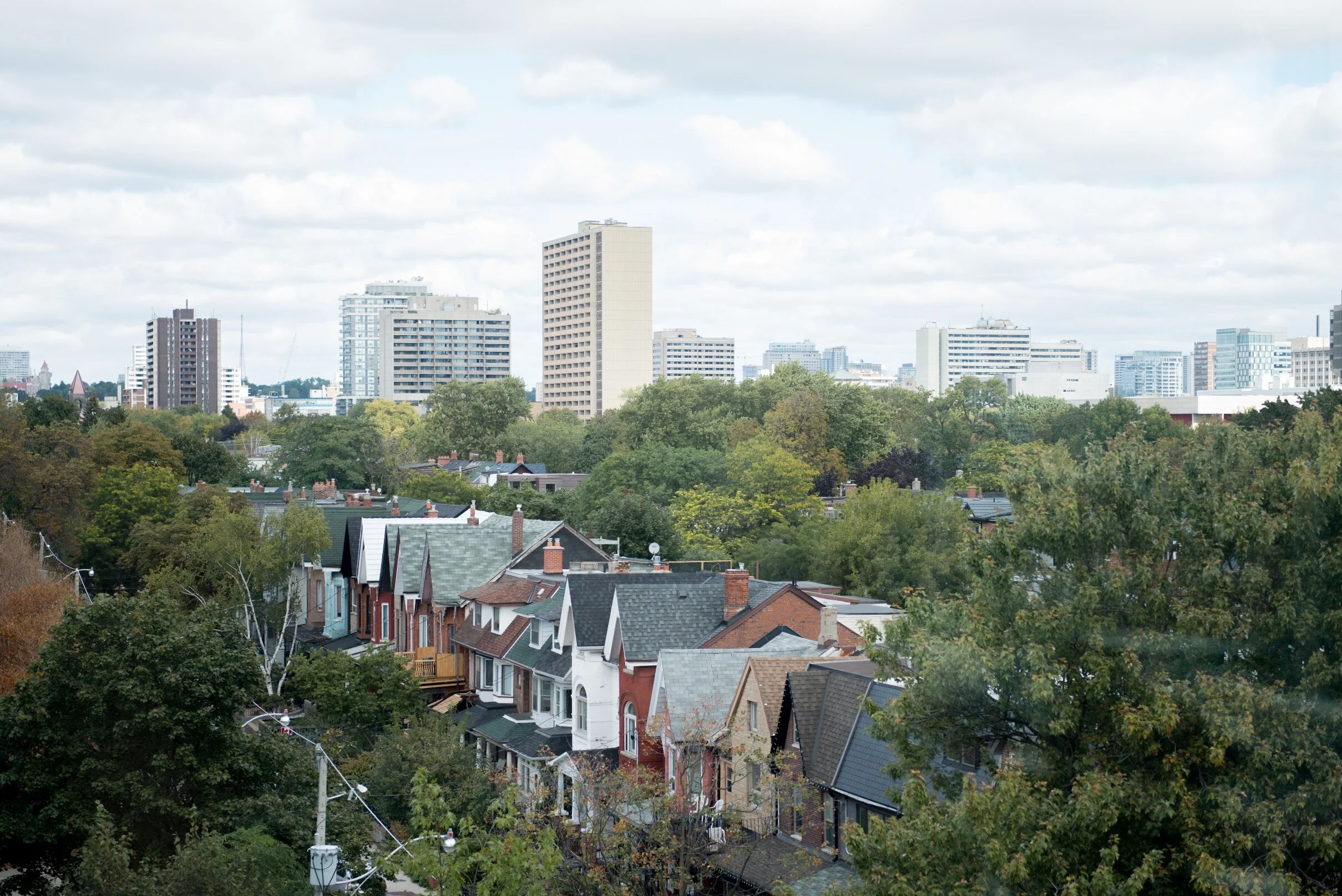 What we do — Mid-West Toronto Ontario Health Team