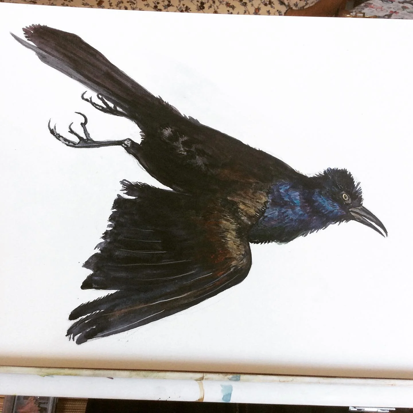 Wesley Bates - Wood Engraver, Artist & Printmaker