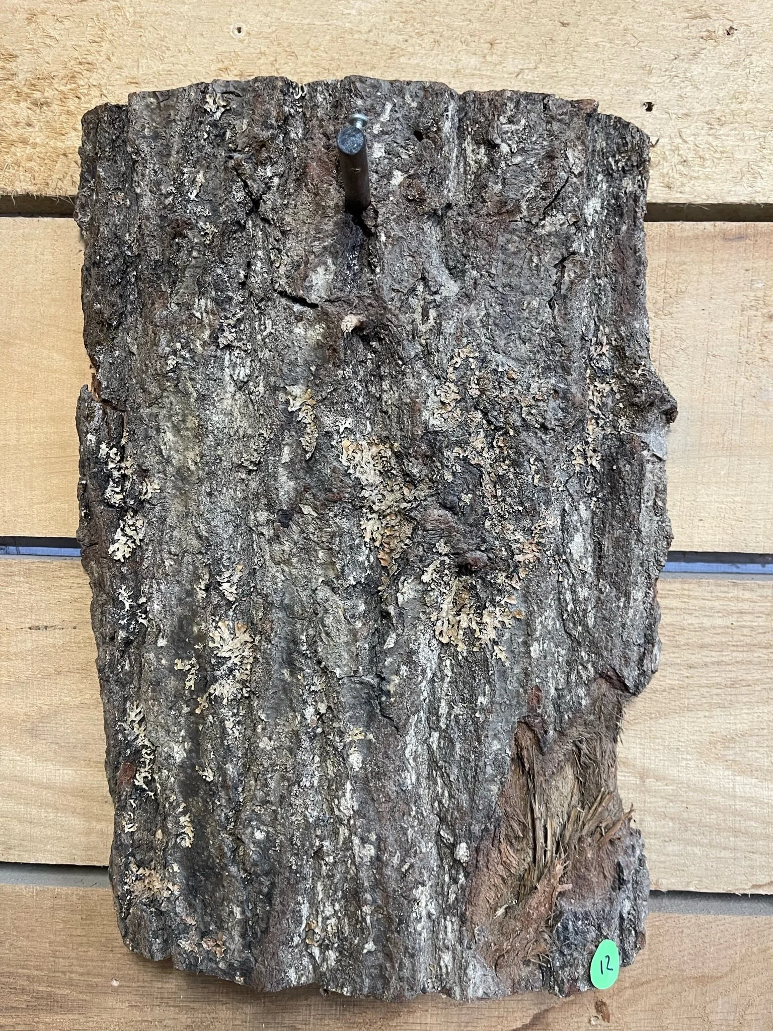 Store — Angert's Hydrographics