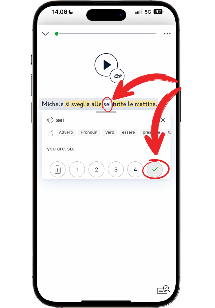 How to Read Books with LingQ: Complete Beginner's Guide (2025 ...