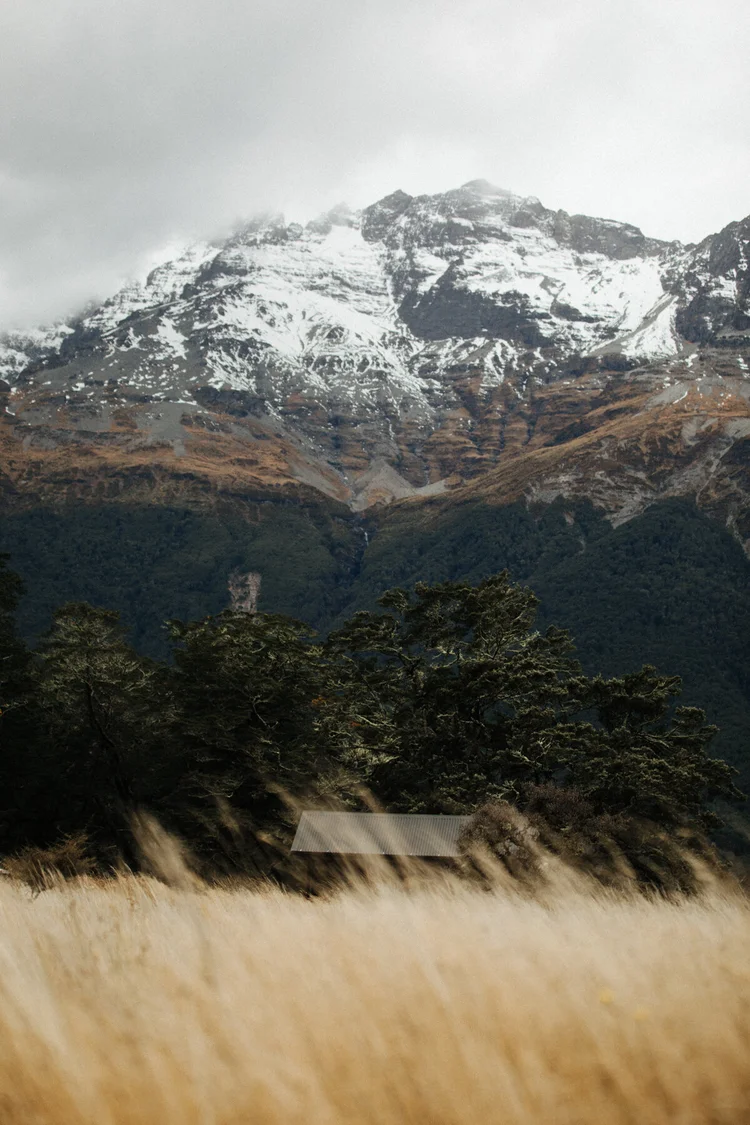 LBRP | Expert Construction Consultants in Queenstown | Project ...