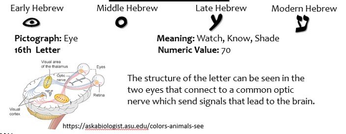 Hebrew Letter Ayin — Resting on His Word