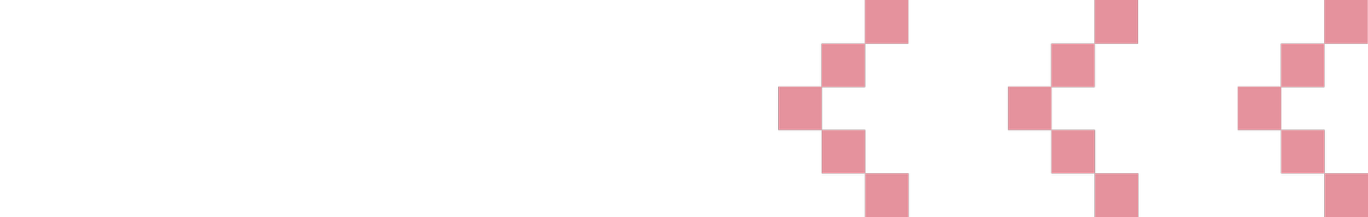Triangle Native American Society