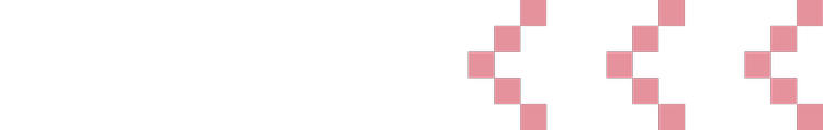 Triangle Native American Society