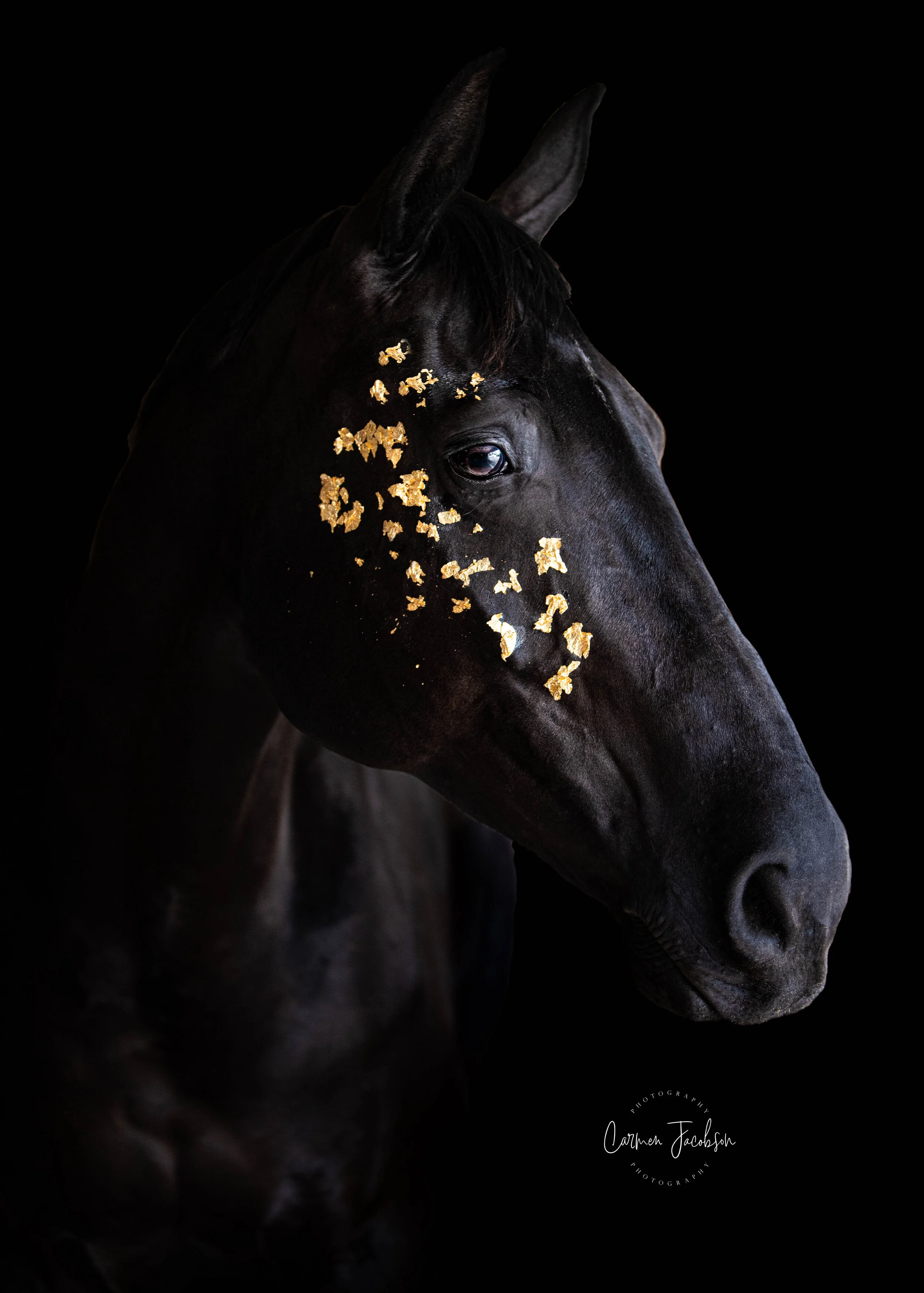 Carmen Jacobson Photography