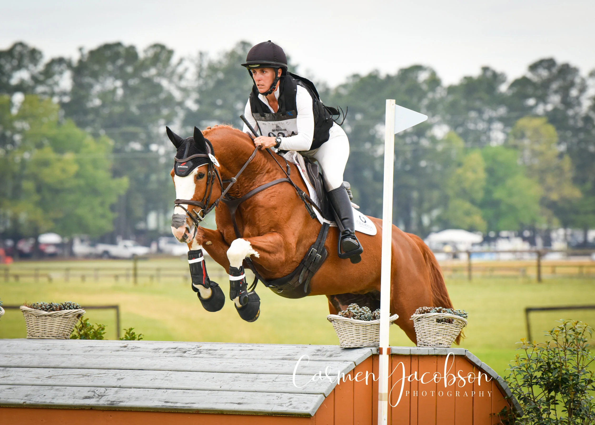 Carmen Jacobson Photography