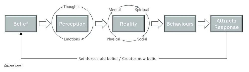 Next Level Change Your Mindset: change your perception, your reality ...