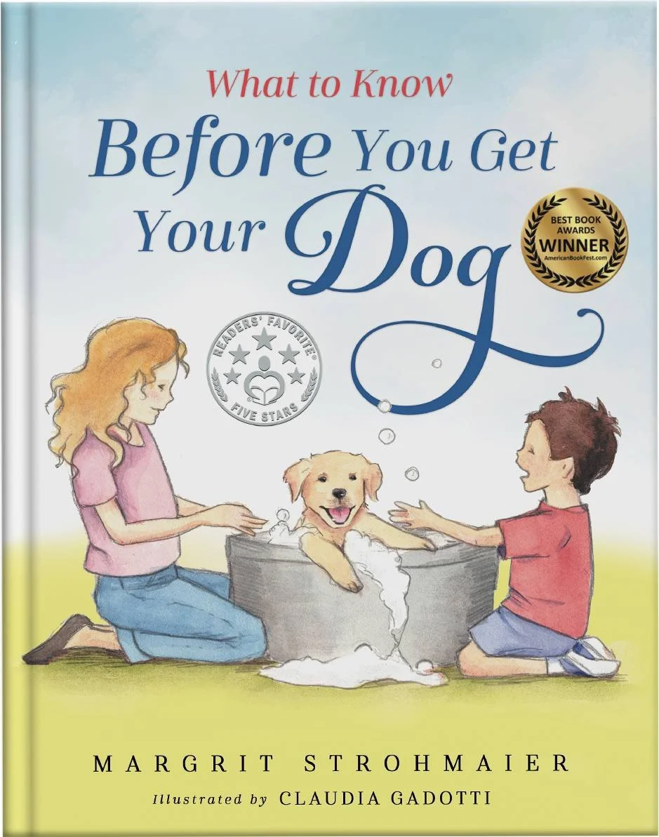 What Are The Responsibilities Of Owning A Dog