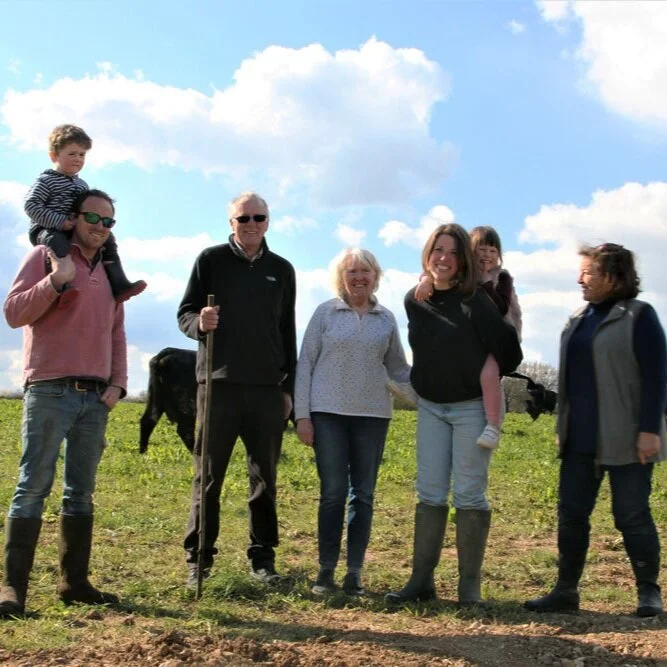 Wild & Rooted Farming – Sustainably reared grass-fed beef, Chelmsford ...