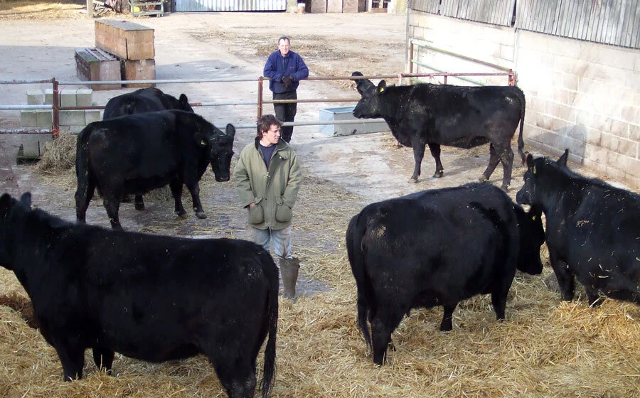 How we farm – The Squiers and Humphreys Farm — Wild & Rooted Farming ...