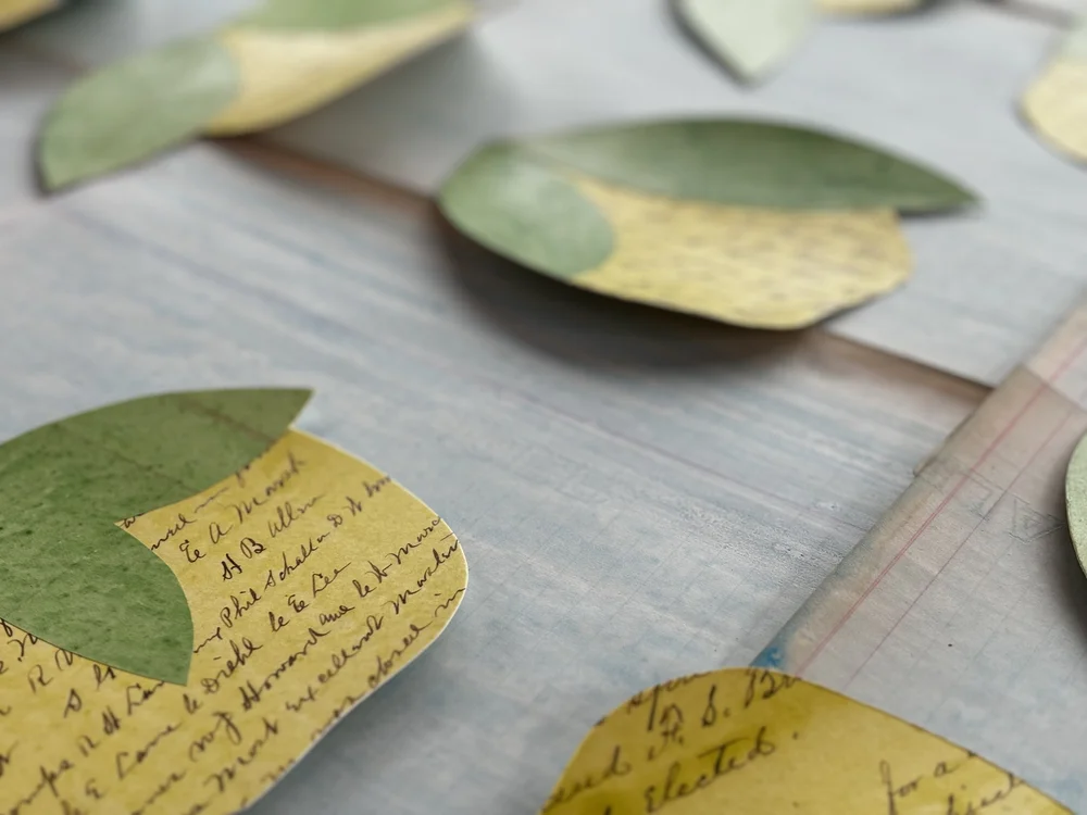 Strong Roots : By Emily Krill — Contemporary Collage Magazine