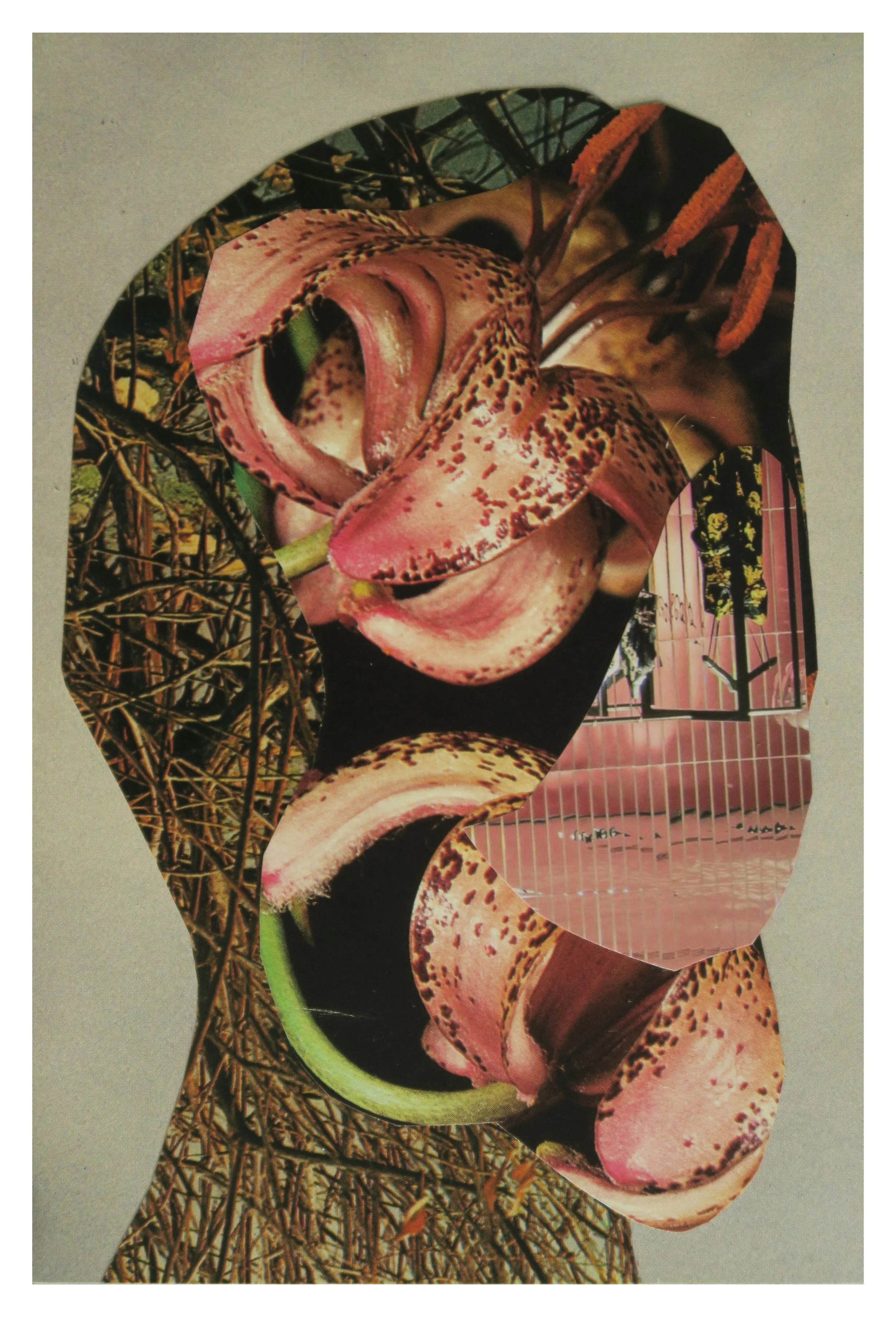 2023 Awards Series Winner — Contemporary Collage Magazine