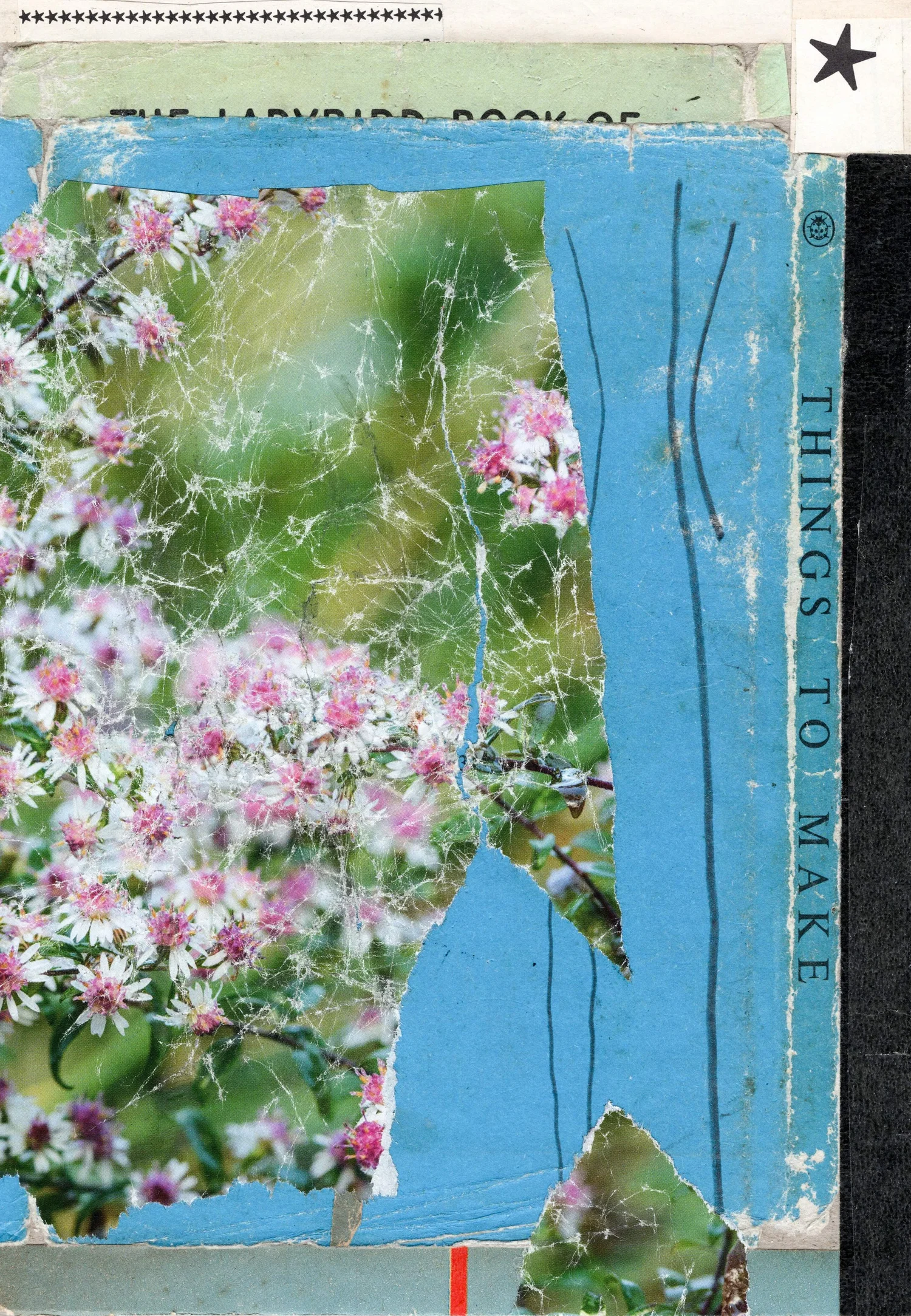 Awards Winners 2024 — Contemporary Collage Magazine