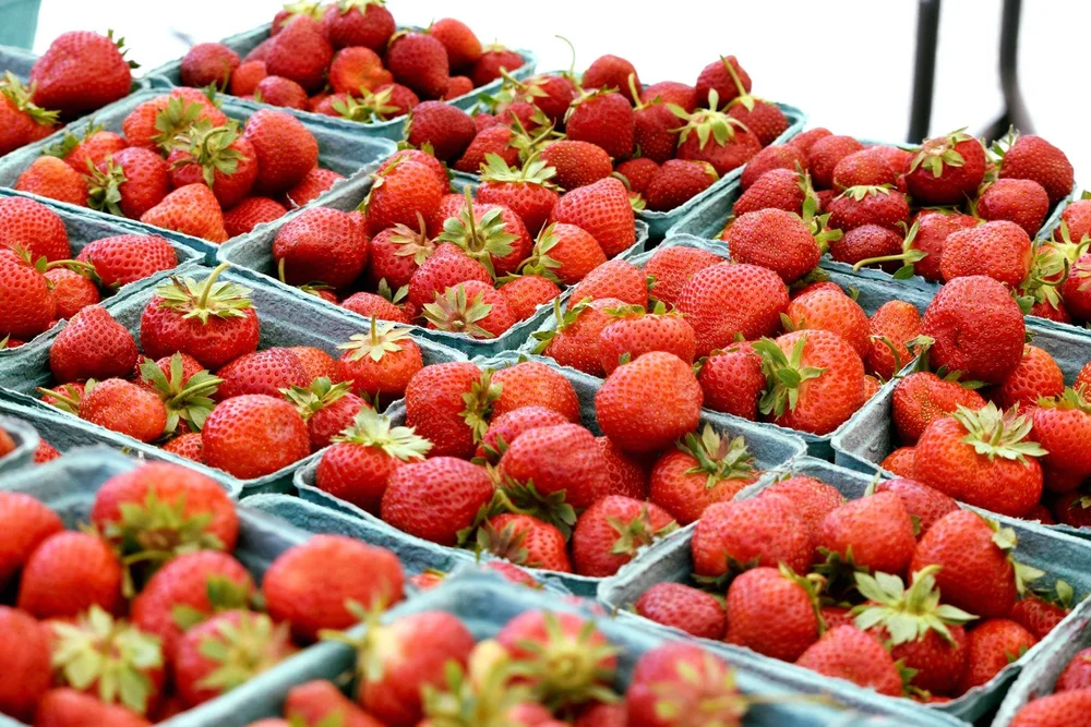 Millbrook Farmers Market