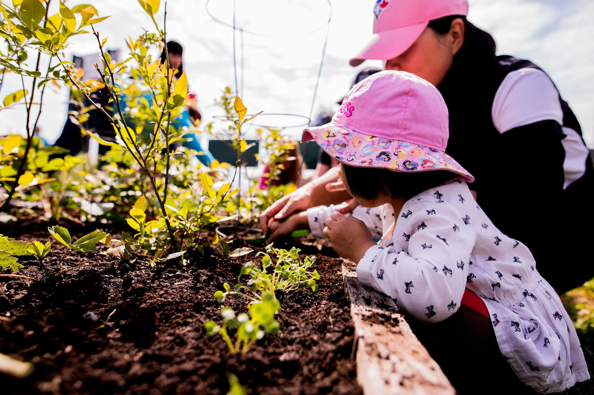 Become a Member — Ladysmith Family and Friends