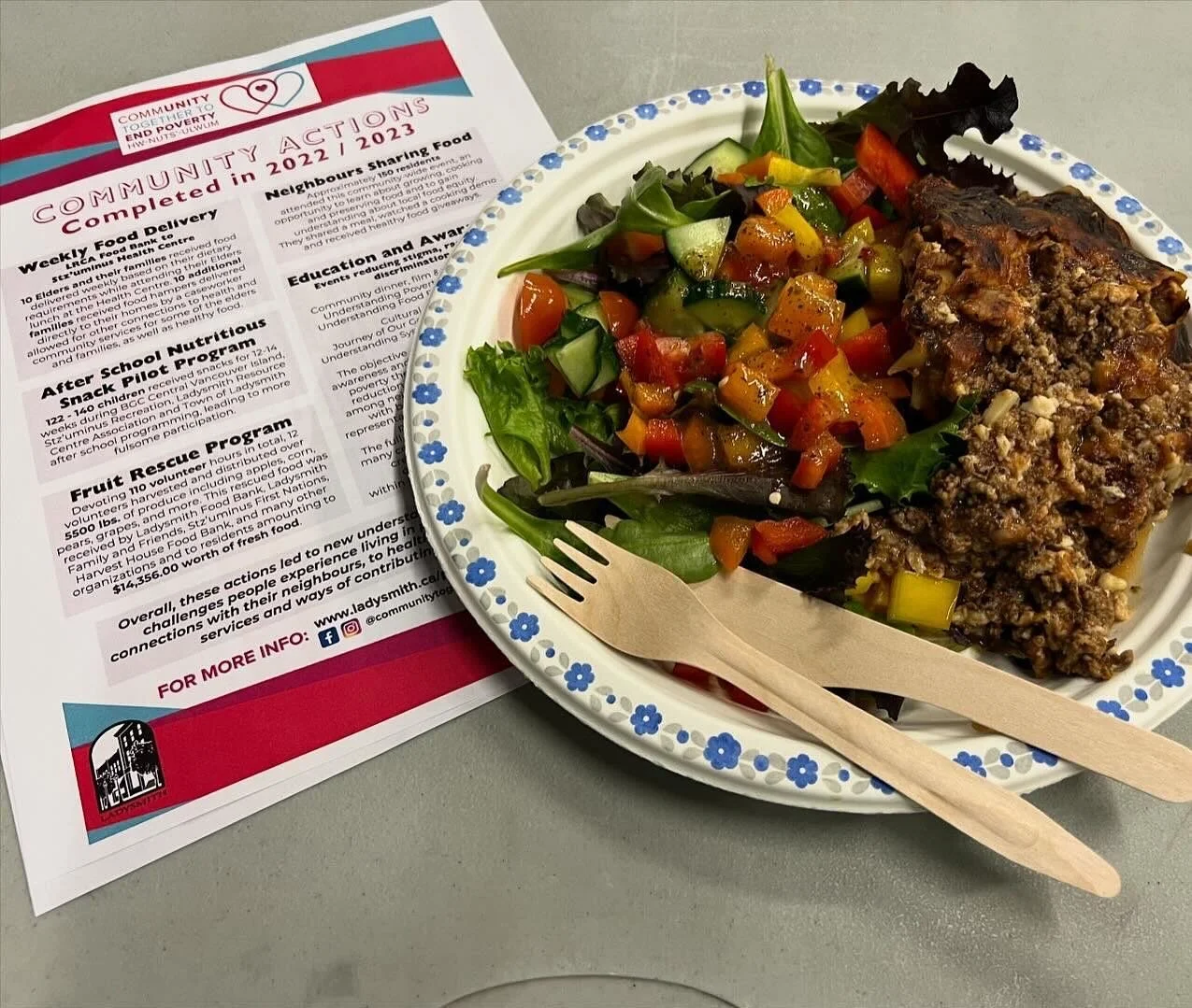 Current Brochure — Ladysmith Family and Friends