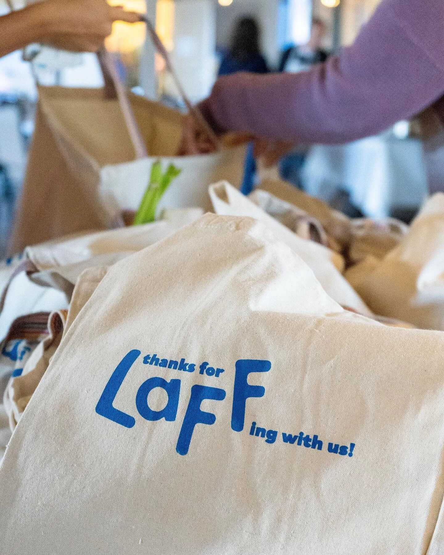 Program Overview — Ladysmith Family and Friends