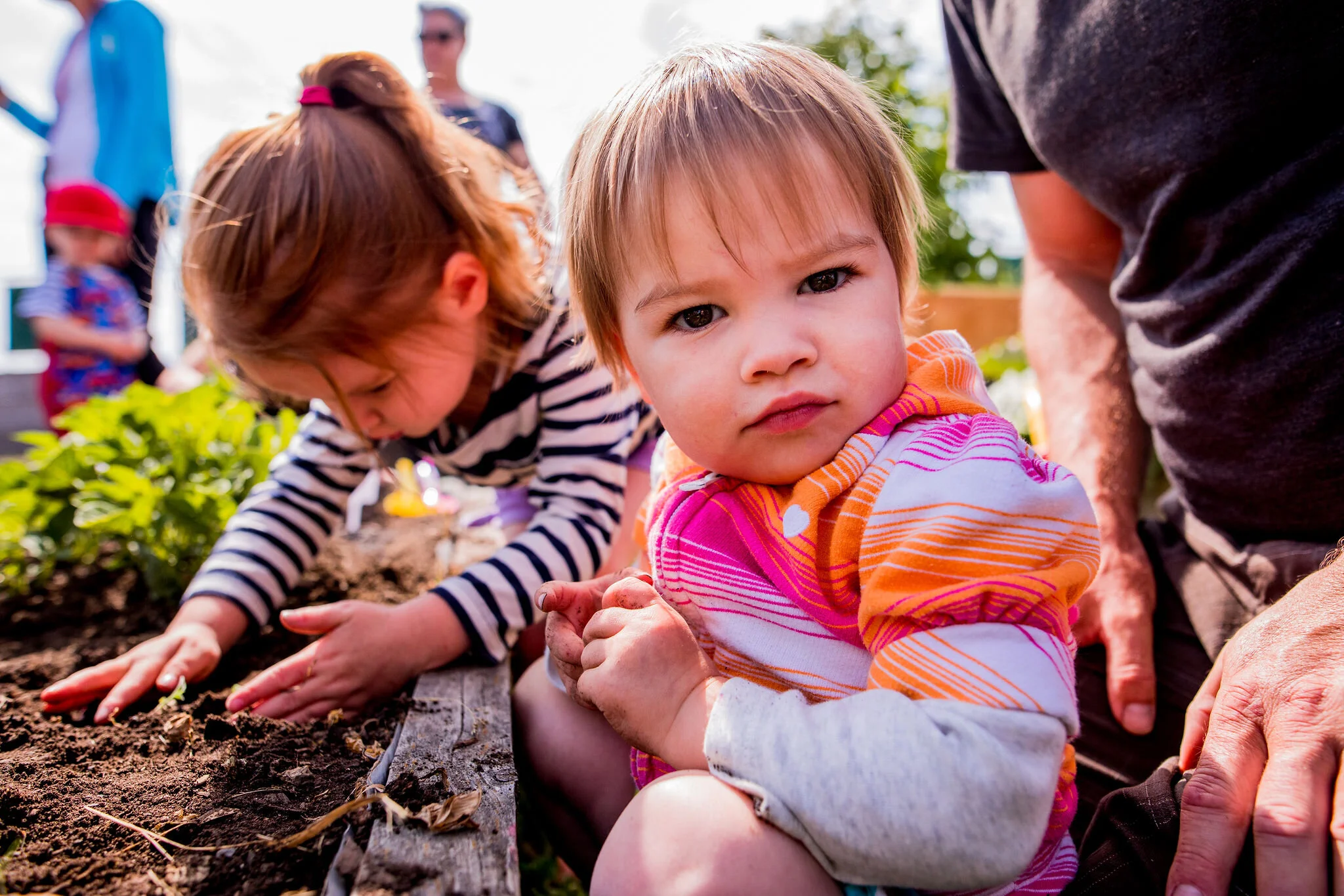 Become a Member — Ladysmith Family and Friends