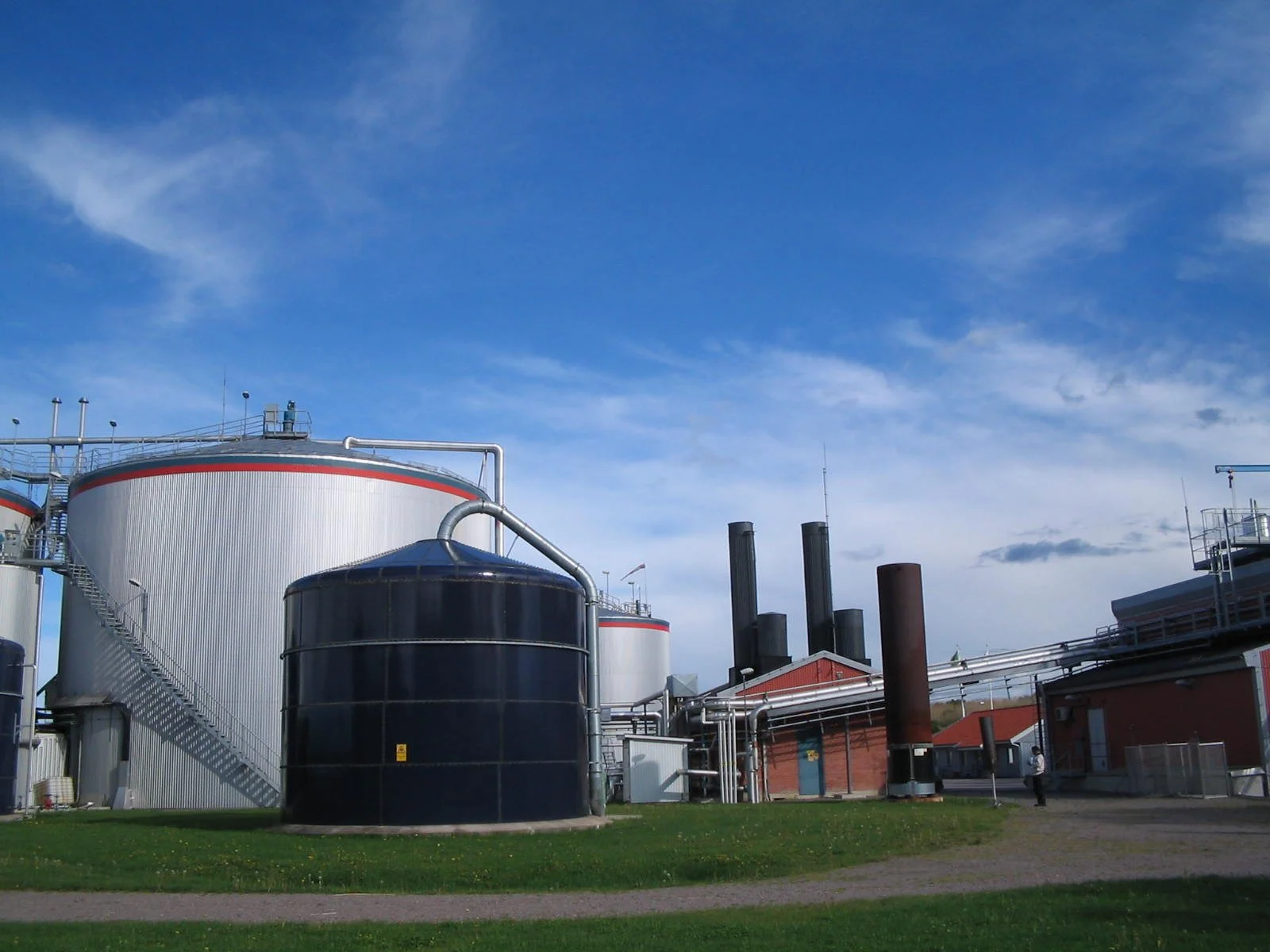 PERSPECTIVES — Acorn Bioenergy