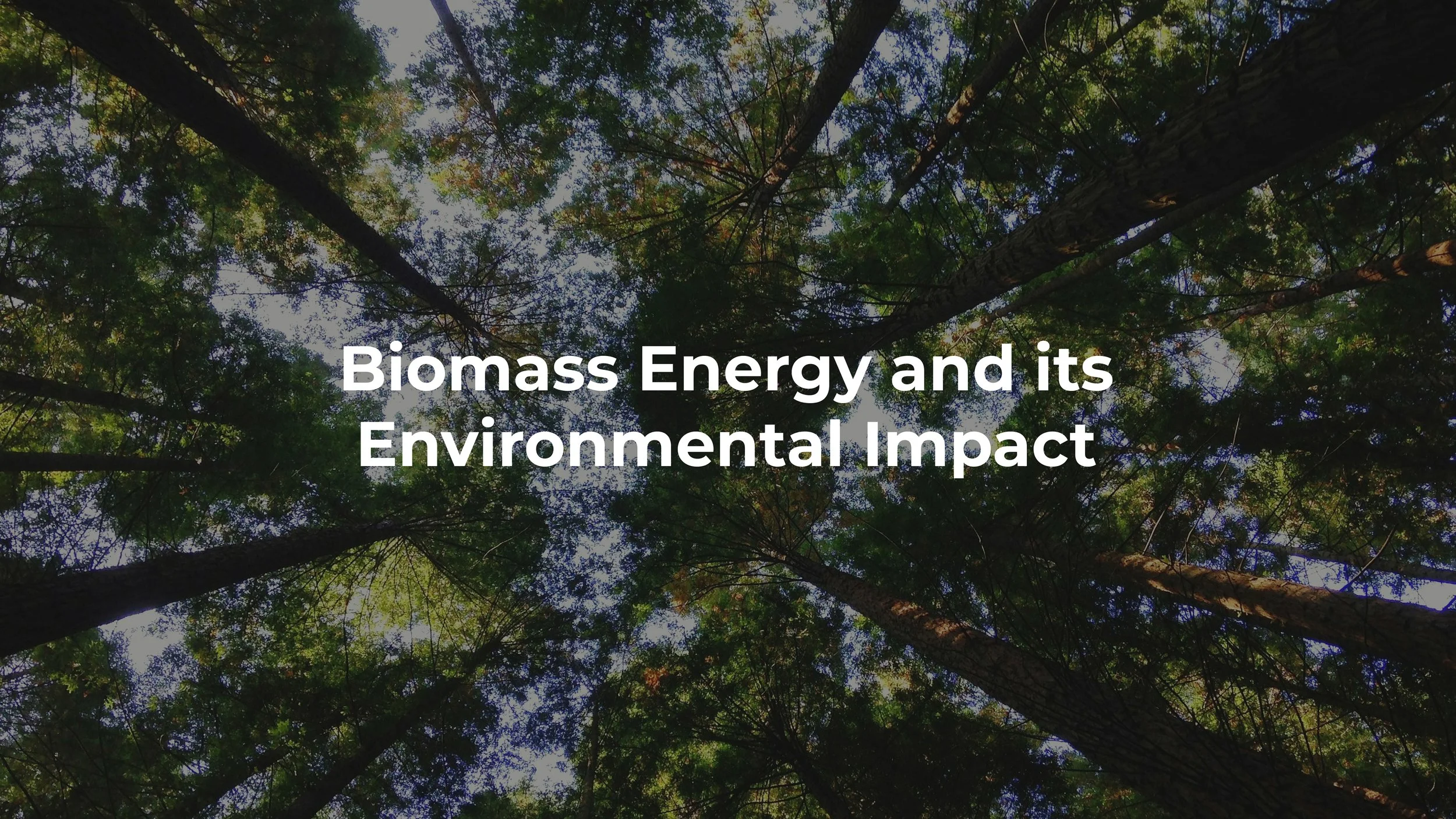 NEWS — Acorn Bioenergy