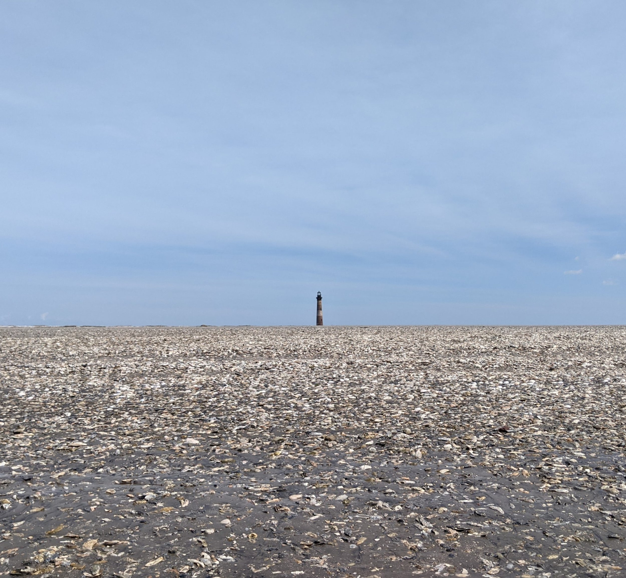 Shark Tooth Hunting on Morris Island — The Ever Curious