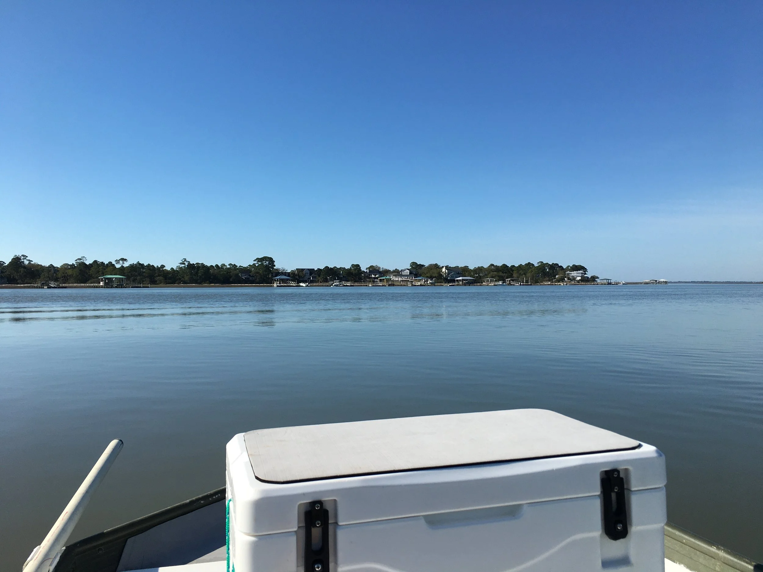 Shark Tooth Hunting on Morris Island — The Ever Curious