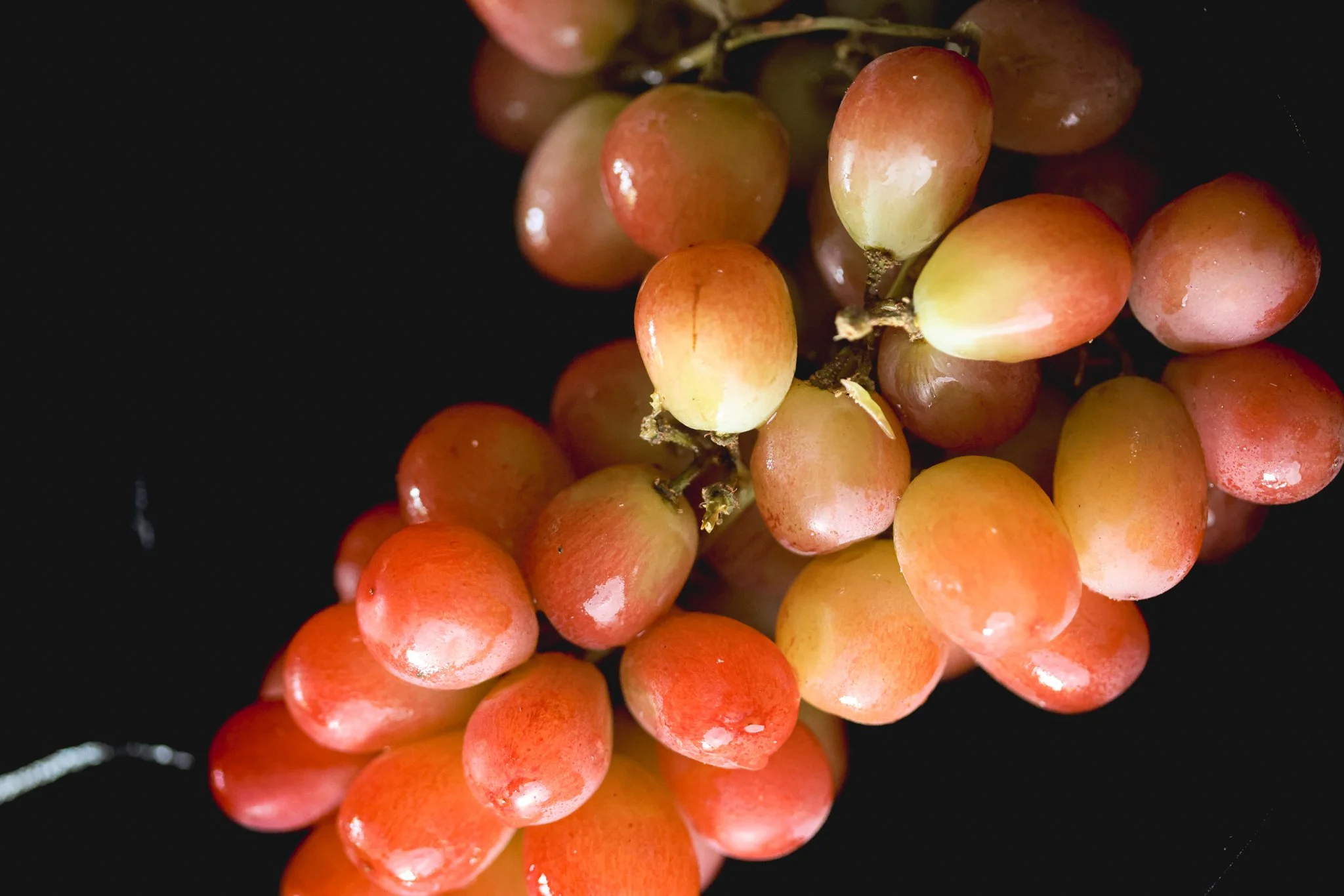 Roasted Grapes — Taylor Mae Dean