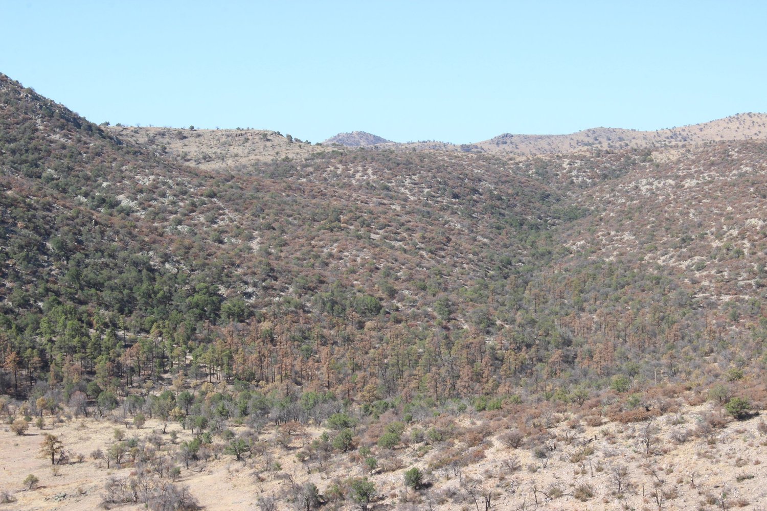 people — ecophyslab