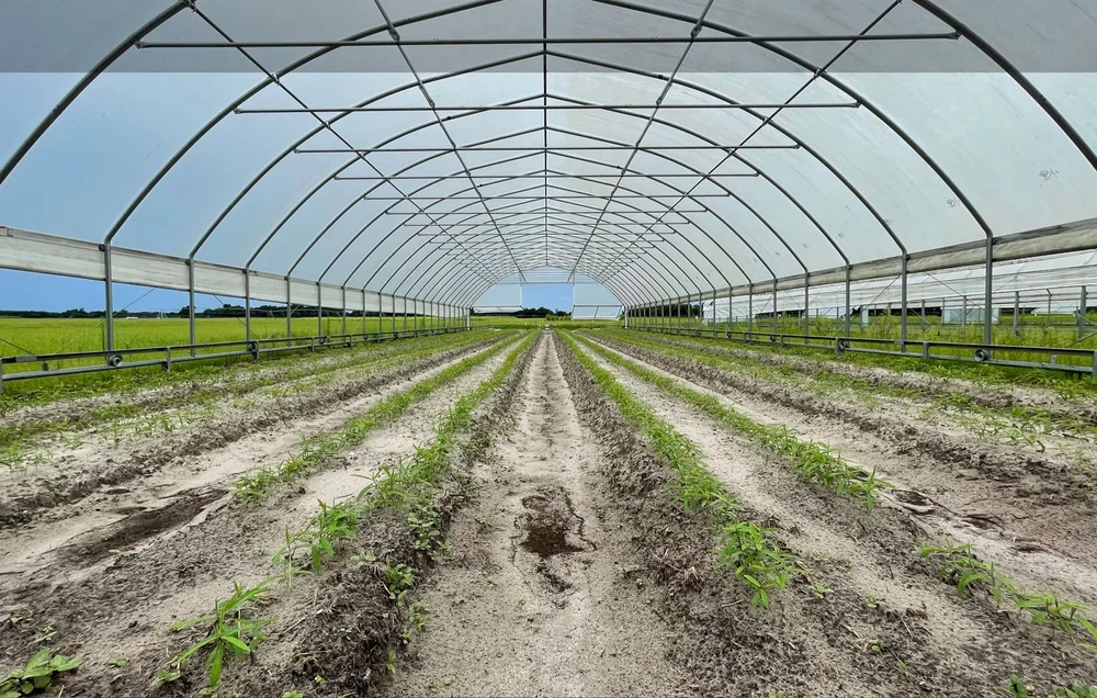 people — ecophyslab