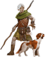 How to Play As Your Favorite Animal In D&D