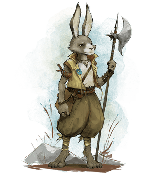 How to Play As Your Favorite Animal In D&D