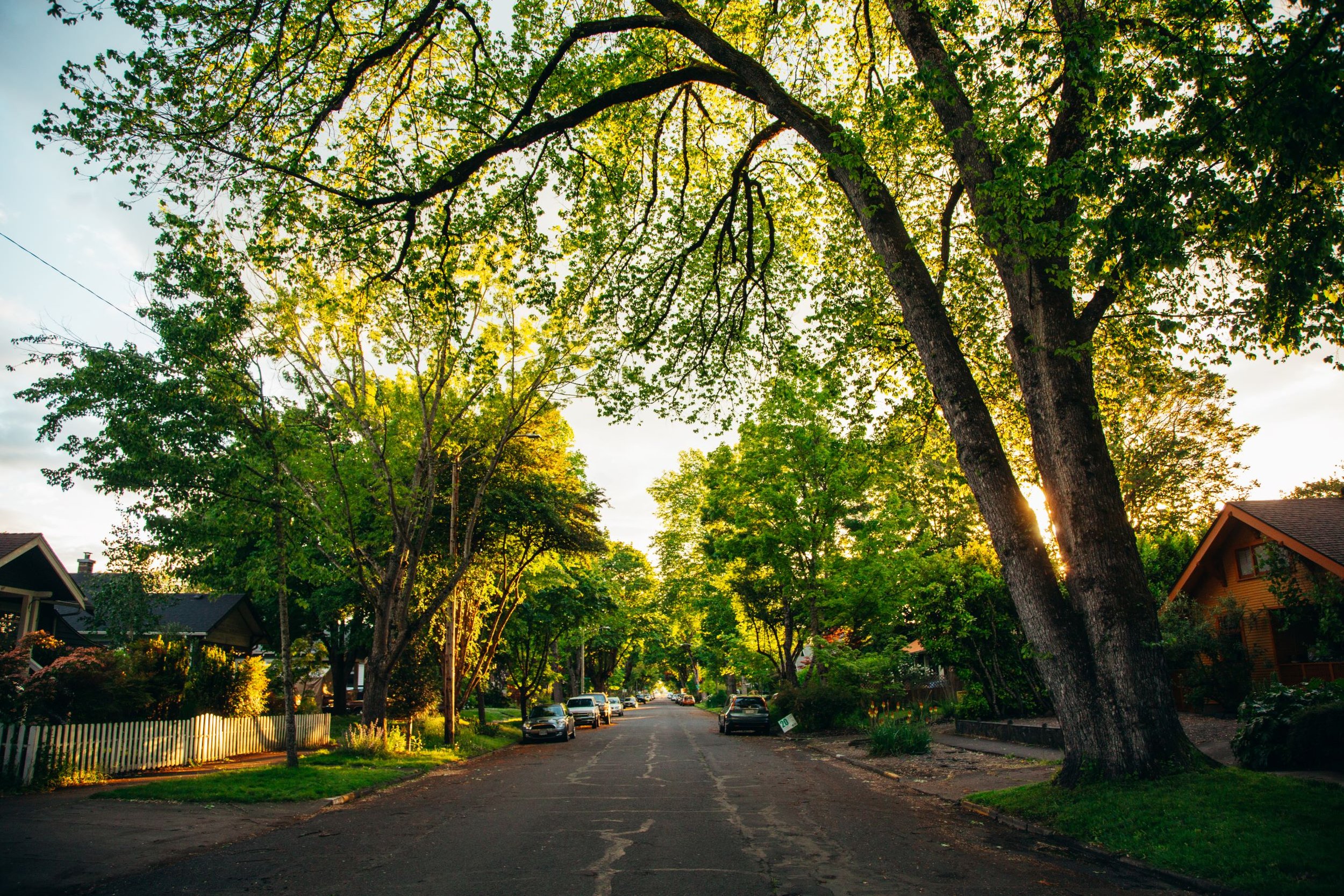 Whiteaker Community Council