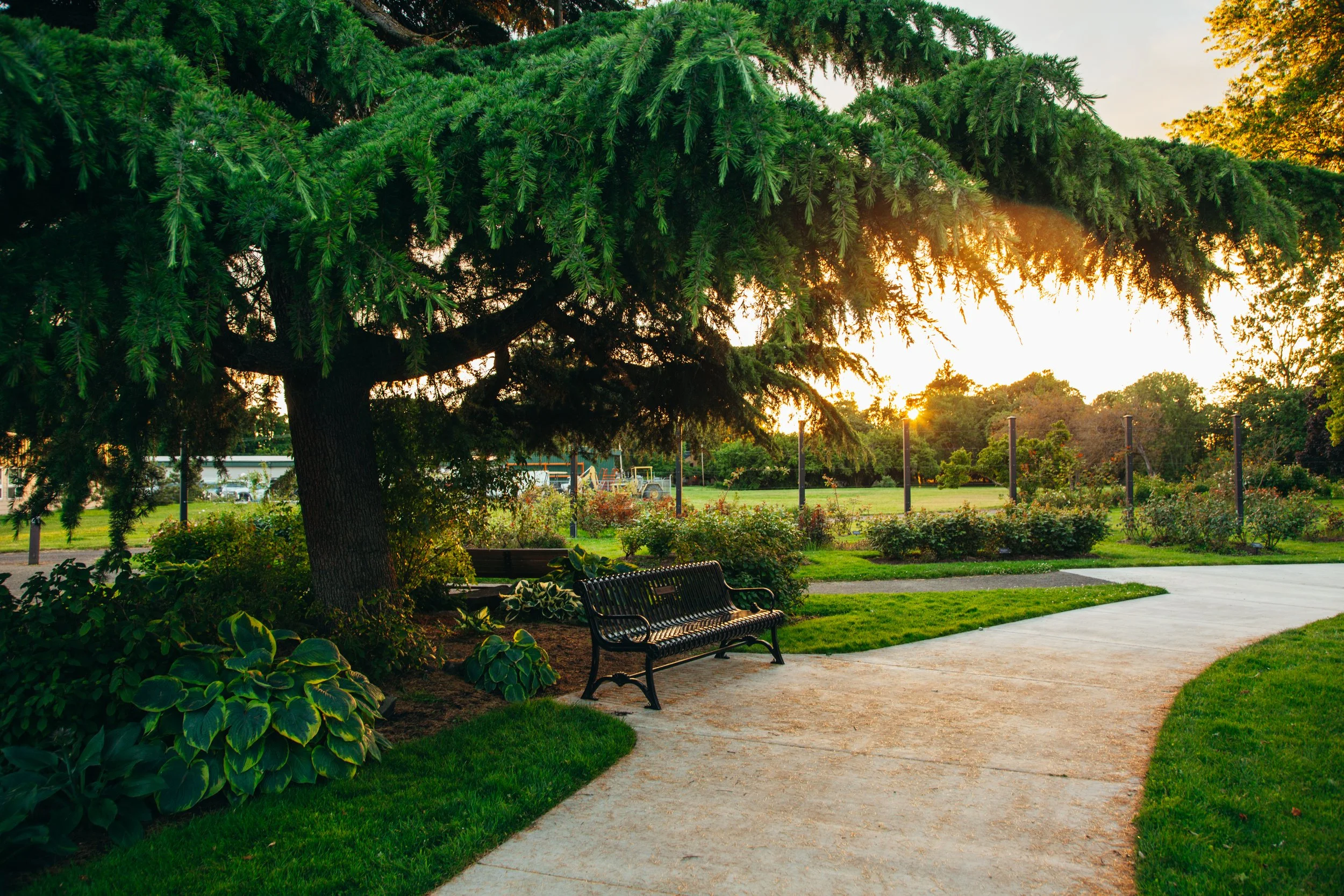 Whiteaker Community Council